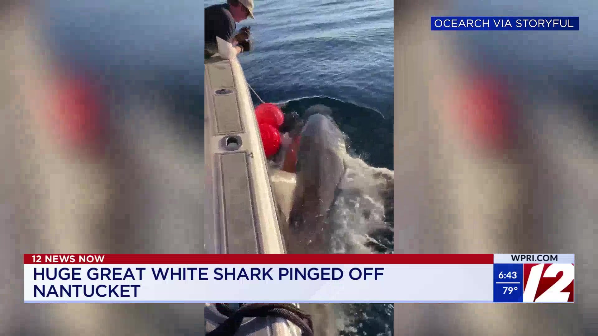 13'9", 1,653 lbs. great white shark pinged off Nantucket