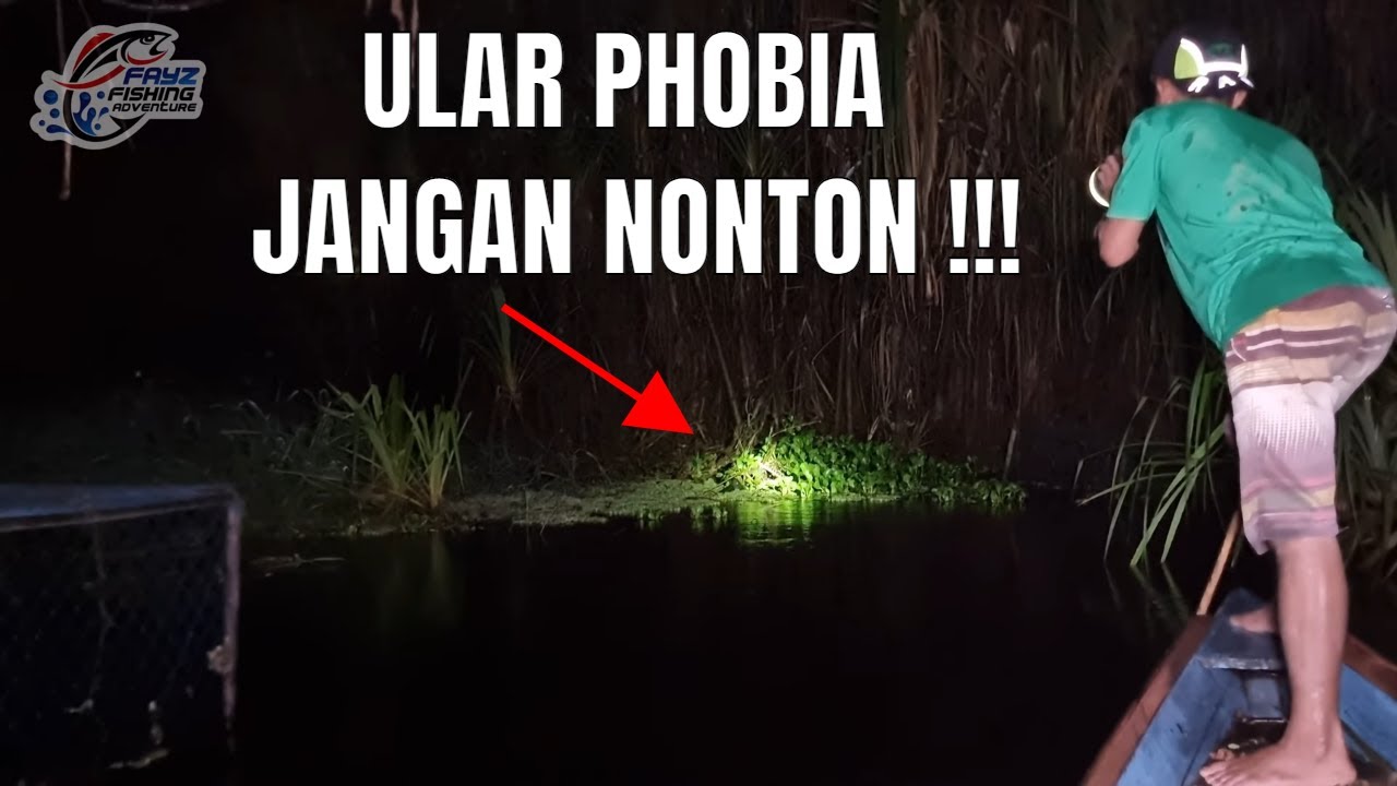 Sungai yang Banyak Ular, Dipastikan Penuh Ikan-Ikan Jumbo