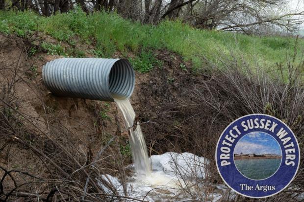 Southern Water slammed for 'serious pollution incidents' and 'systemic ...