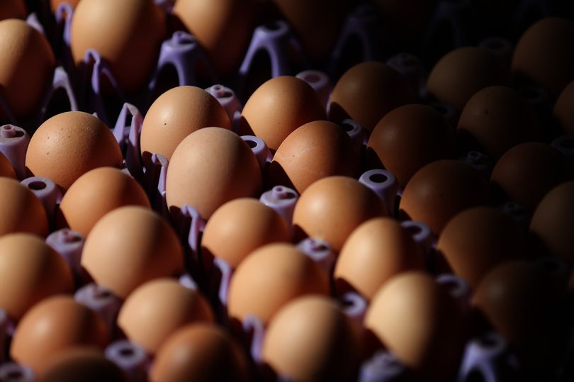 Plans submitted for 'egg production unit' capable of housing 64,000 ...