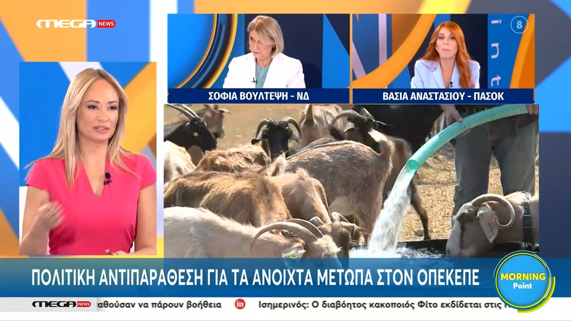 Β. Αναστασίου: «Η ΑΑΔΕ βολεύει γιατί δεν μπορεί να ελεγχθεί από την ...
