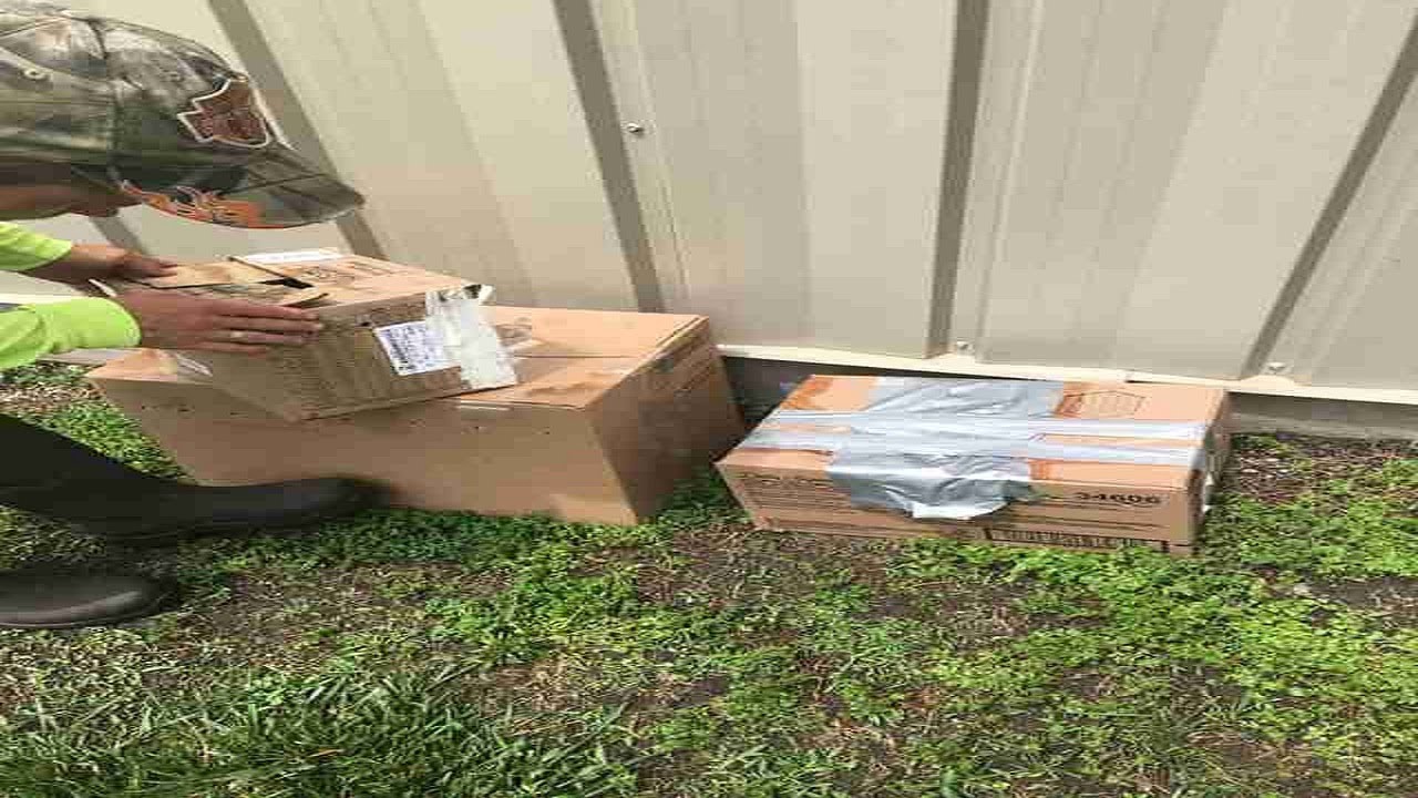 Rescuers Were Appalled To Find Taped Up Boxes Outside Shelter With ...