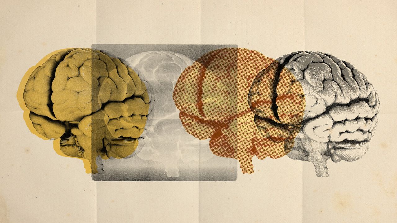 Scientists have identified 4 distinct autism subtypes