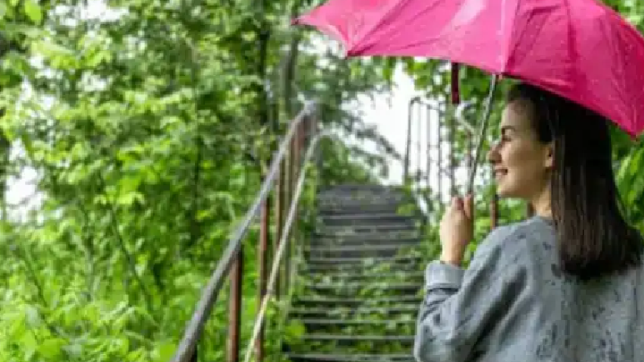 Top 10 monsoon vacation destinations in India, see the beauty of ...