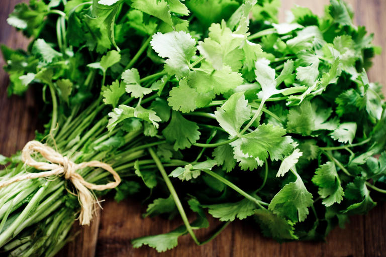 Do you think cilantro tastes like soap? You're not alone.