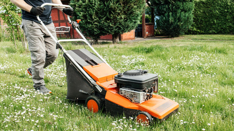 Can You Damage A Lawn Mower By Pulling It Backwards?
