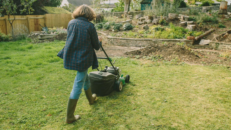 Can You Damage A Lawn Mower By Pulling It Backwards?
