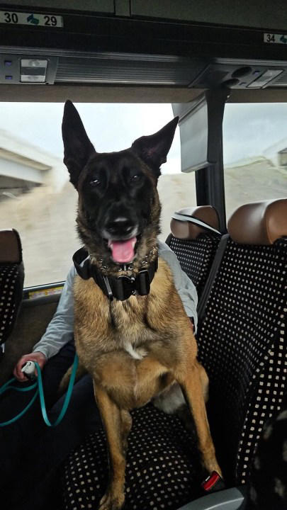 Indiana Task Force 1 continuing to assist with flood relief efforts in ...