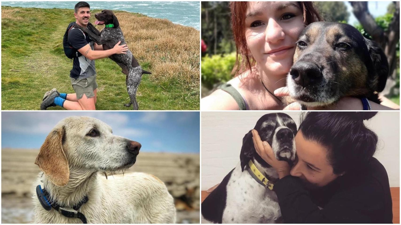 "No imagino mi vida sin un perro": testimonios en A Coruña en el día ...