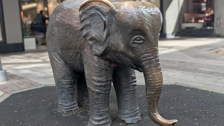 Heute vor 75 Jahren: Als der Elefant Tuffi aus der Schwebebahn stürzt