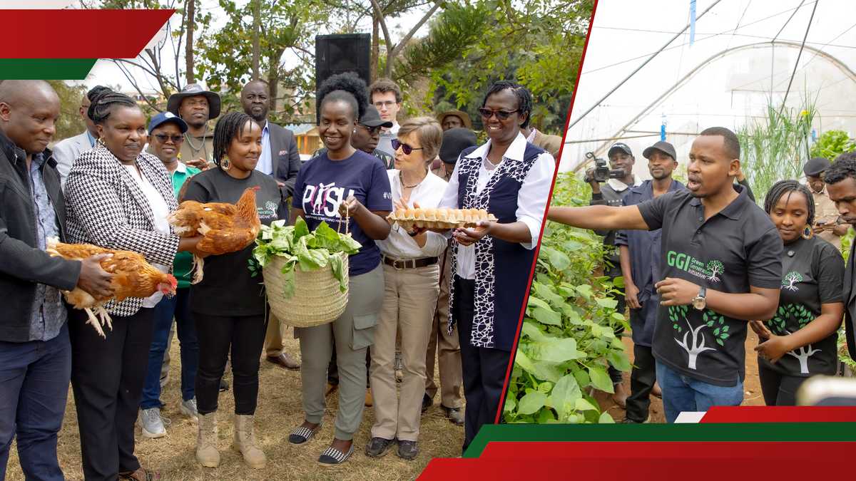 Kenyan schools get new climate-smart garden model to tackle hunger ...