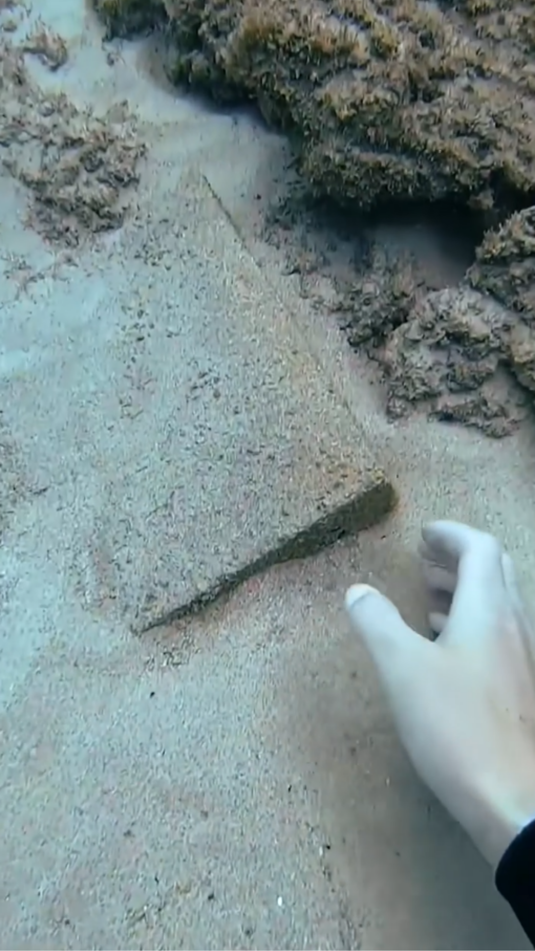 I Found a Bunch of Stuff in the Ocean… and Thought I Discovered a ...