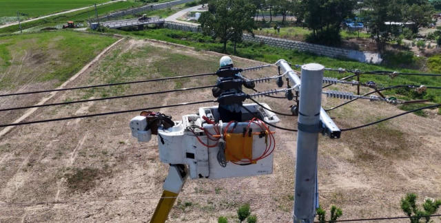 APEC D-100… 한전, 경주 행사장 전력 확보·공급 준비 '고삐'