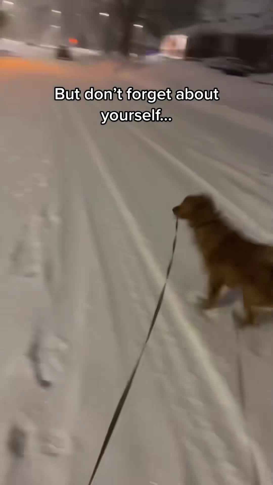 Dog Walks Are Good for the Soul – So Get Out There