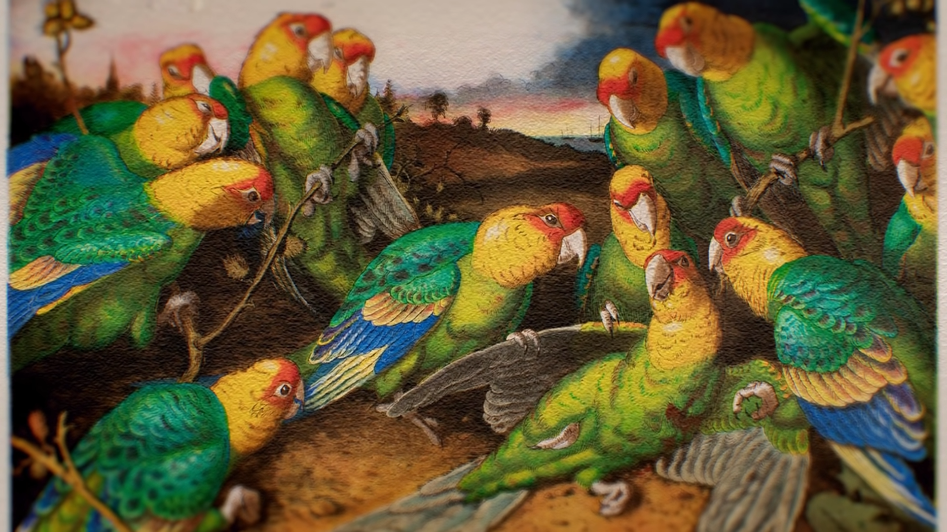 The Birds I Never Met - Extinct Icons of North America