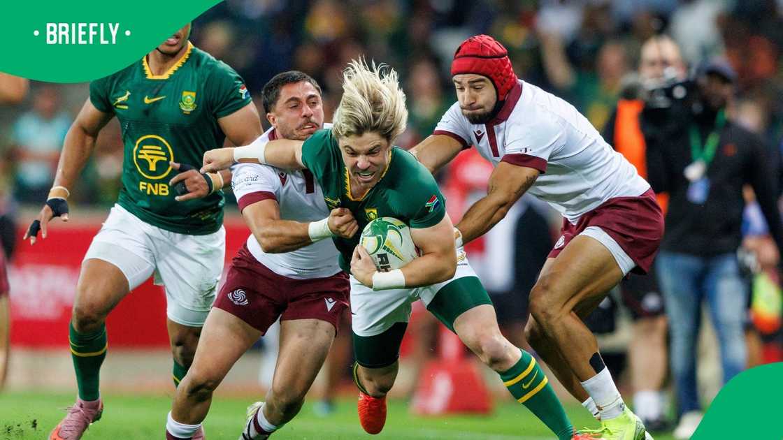 Springboks fans reenact kiss cam scandal during Georgia clash in Nelspruit