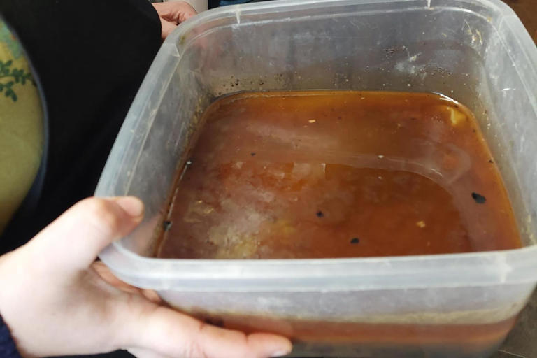 Gainsborough business operator fined after 10 breaches of food and ...