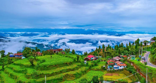 Top 10 Must-Do Activities in Darjeeling for Every Traveler