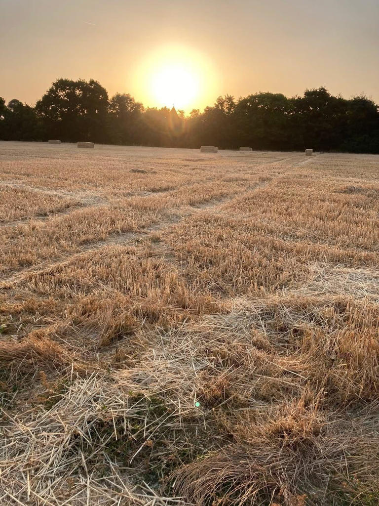 Letter to the editor: Formal request to Crawley MP for urgent action on ...