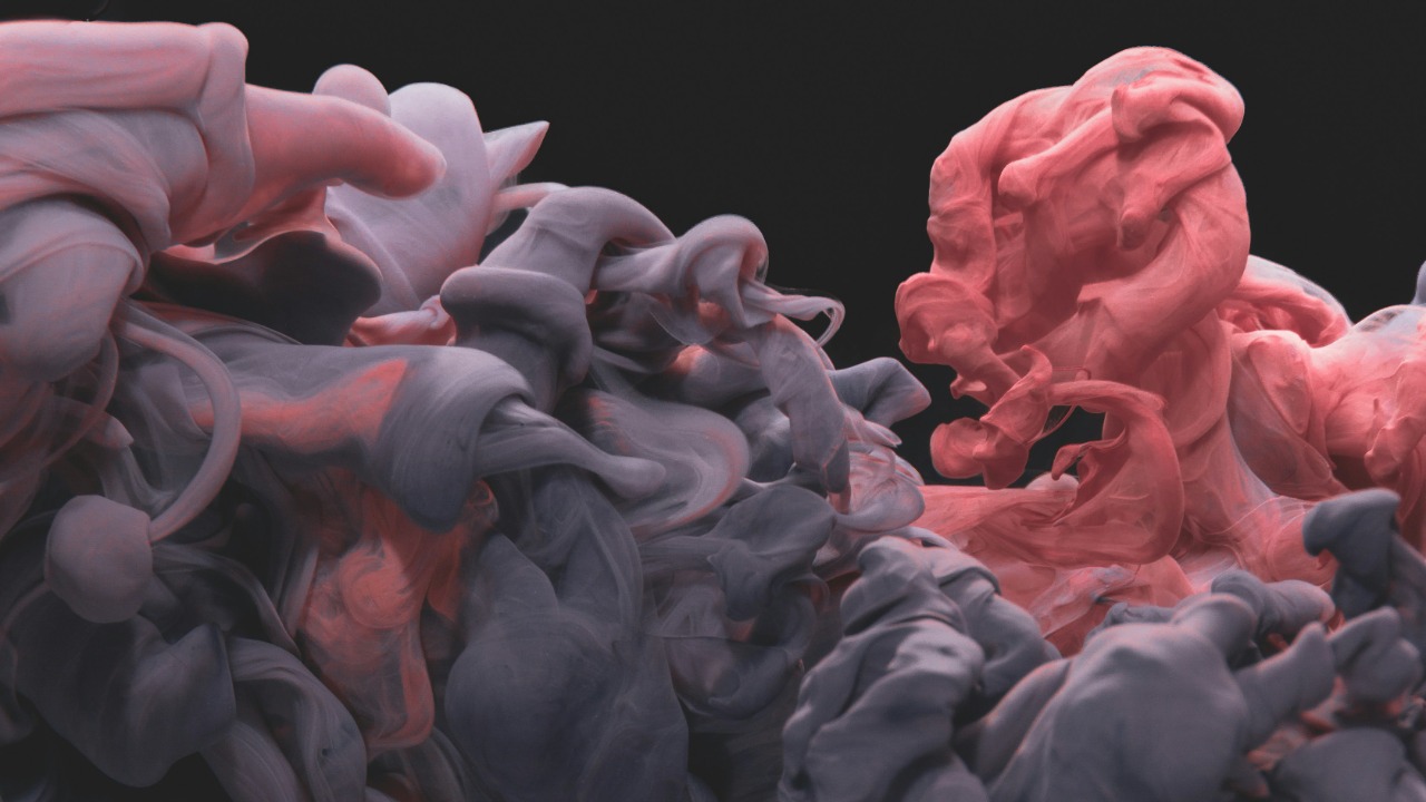 Lab-grown brain tissue began forming memories