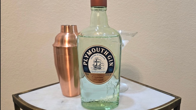 Plymouth Gin: The Ultimate Bottle Guide