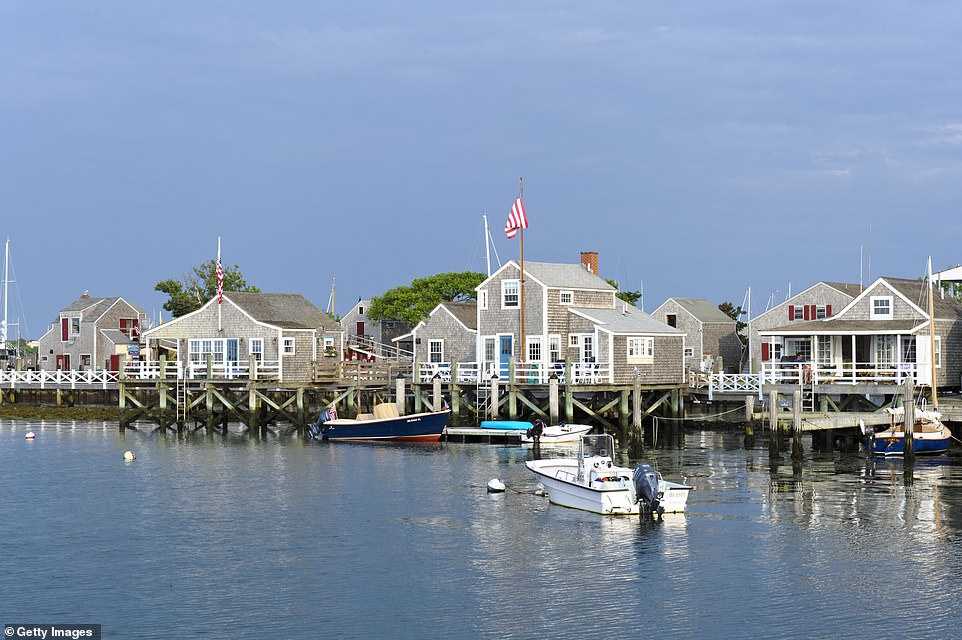 Nantucket tree-cutting neighbor row hit with criminal charges