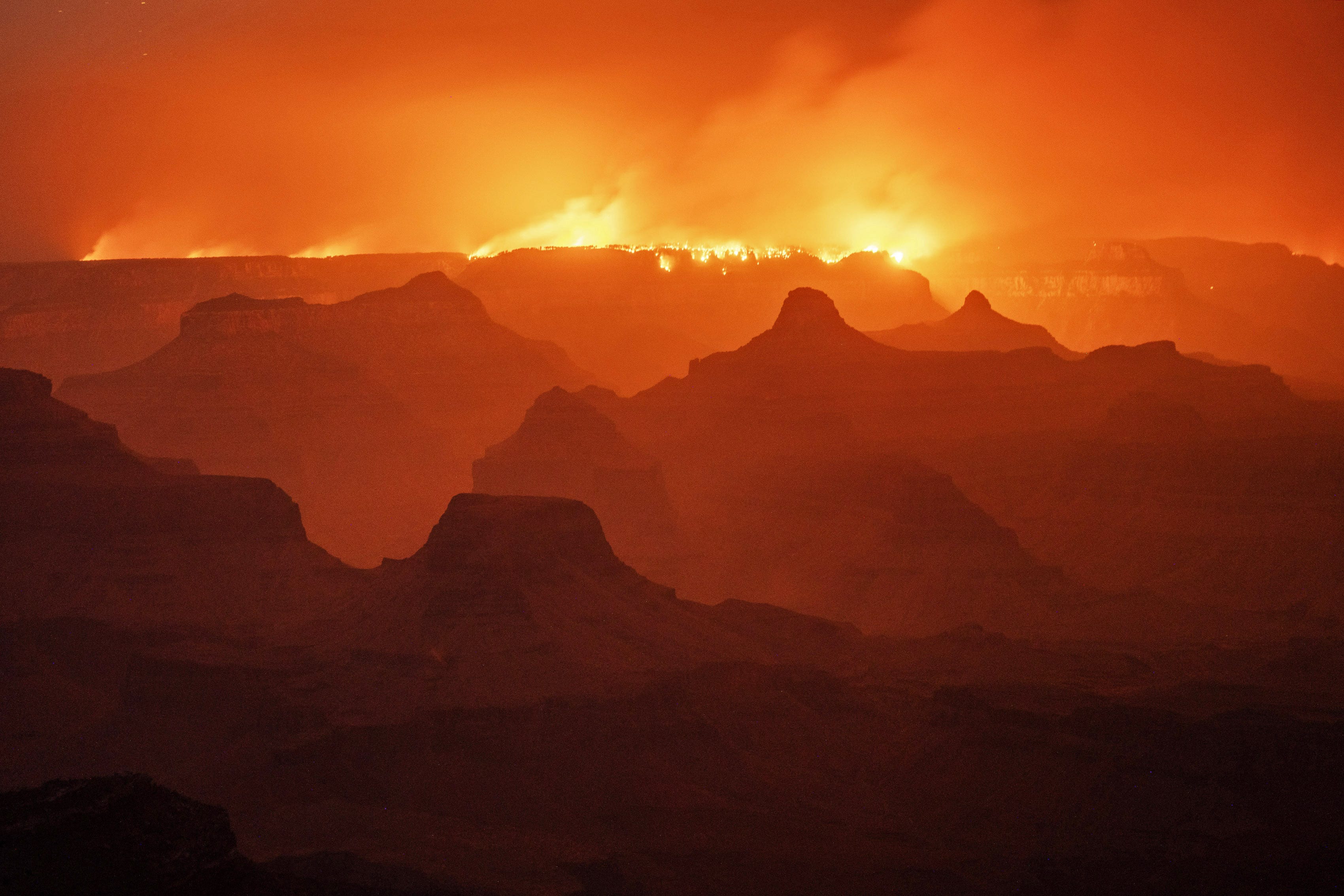Officials ignored 'critical' warnings on Grand Canyon blaze, fire plan ...
