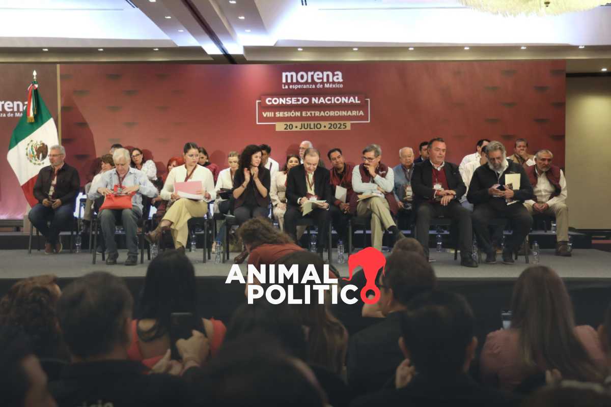 El Consejo Nacional de Morena se convierte en acto de respaldo a Adán ...