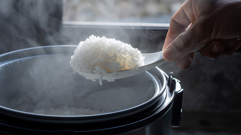 Why Doesn't The 1-2-3 Rice Rule Work Every Time?