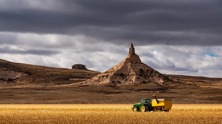 The Daily Mauling: 7/21/25