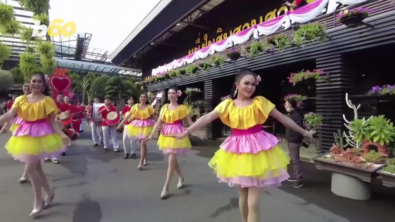 This is the Fun Way to Get Married on the Back of an Elephant!