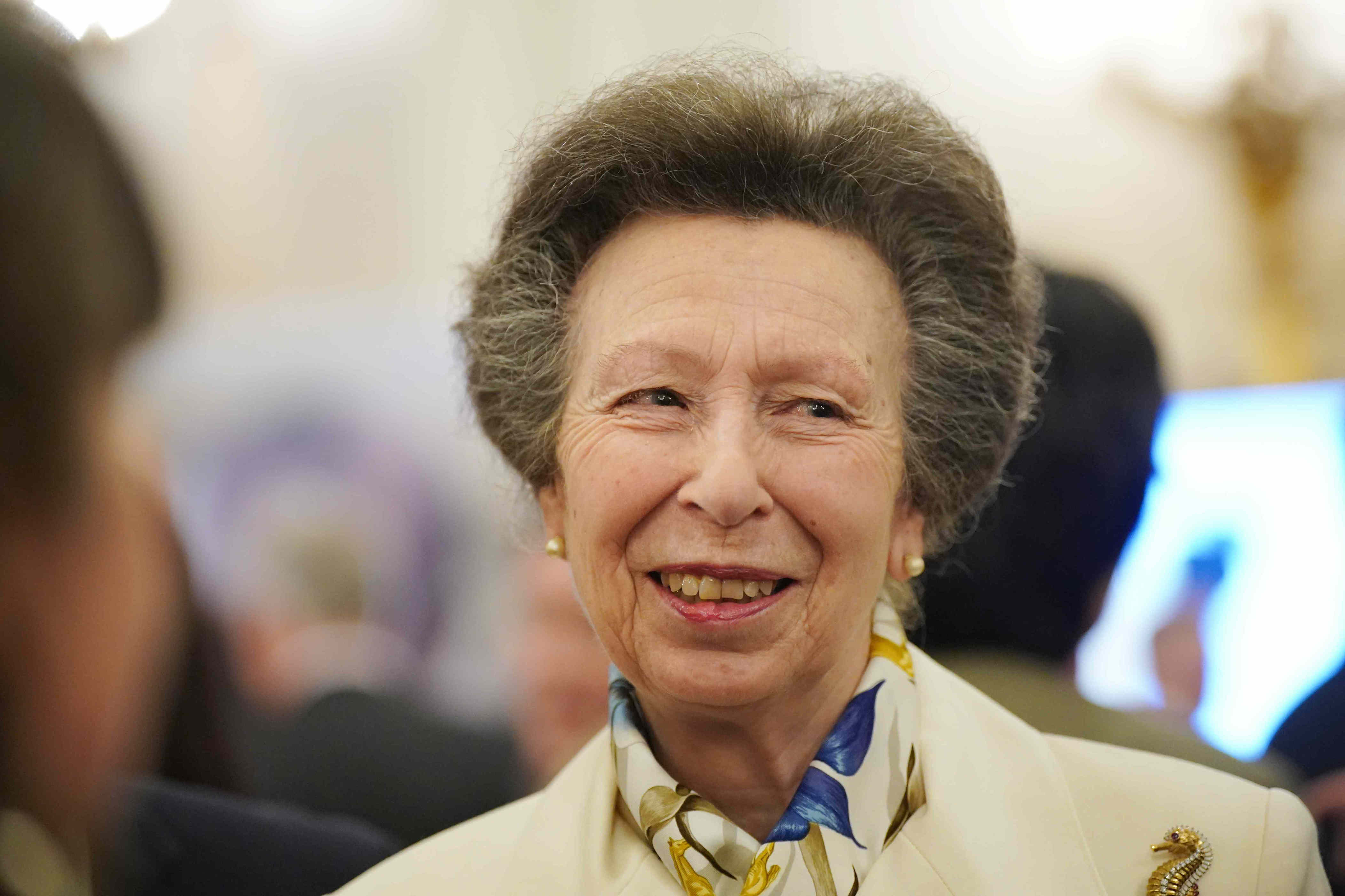 Princess Anne's $20,000 Vintage Diamond-Encrusted Horse Brooch Has a ...