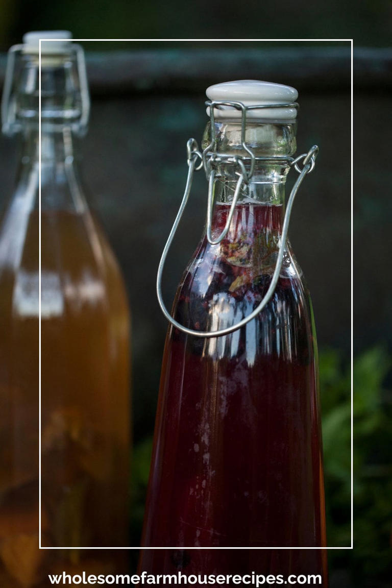 Refreshing Blueberry Kombucha: A Homemade Delight