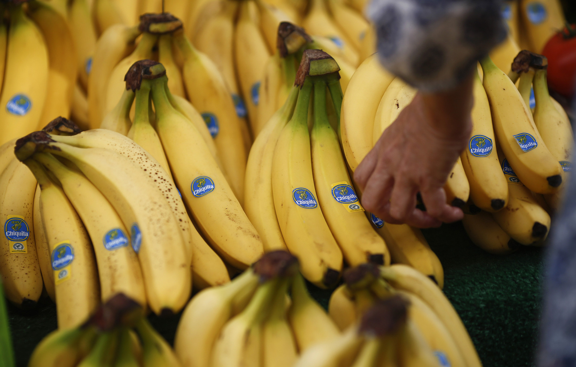 Foods proven to reduce cortisol