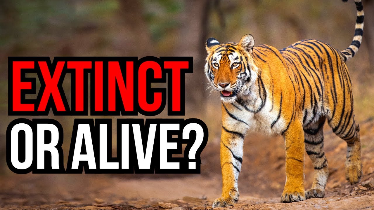 These Animals Were Given Up for Dead - But They Might Still Exist
