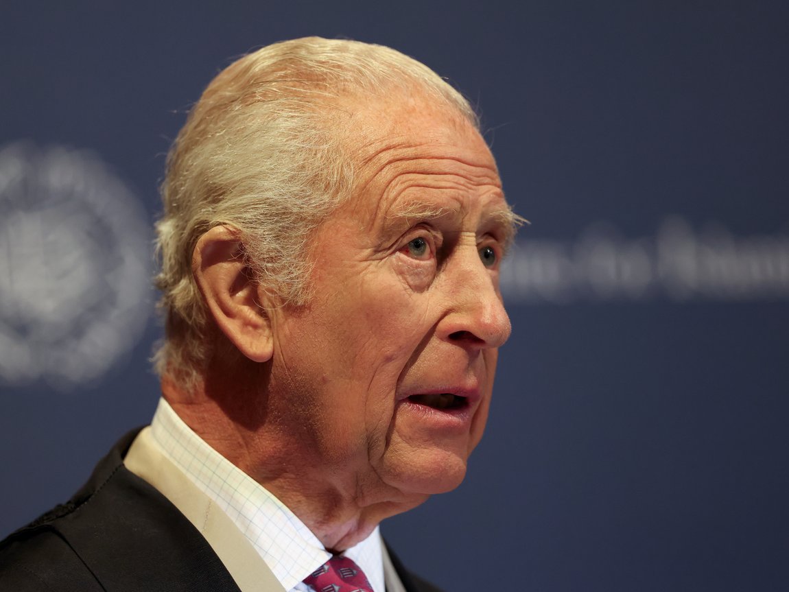 King Charles III Shocked by Horrific Knife Attack