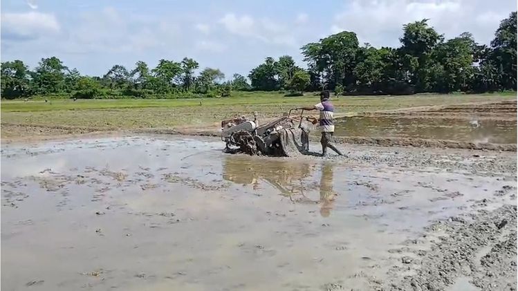 Assam: Solar-powered irrigation project brings relief to Margherita farmers