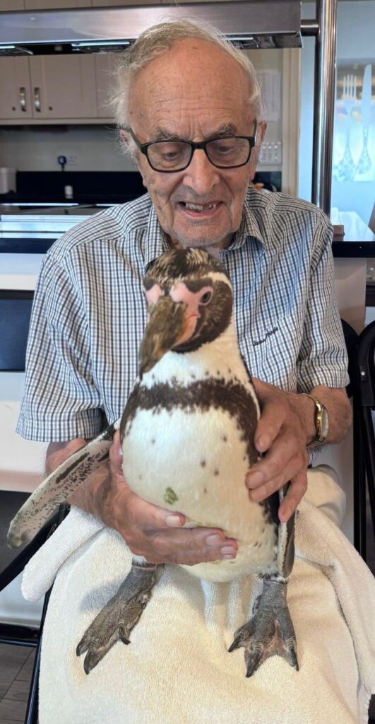Penguins and monkeys delight care home residents in surprise visit