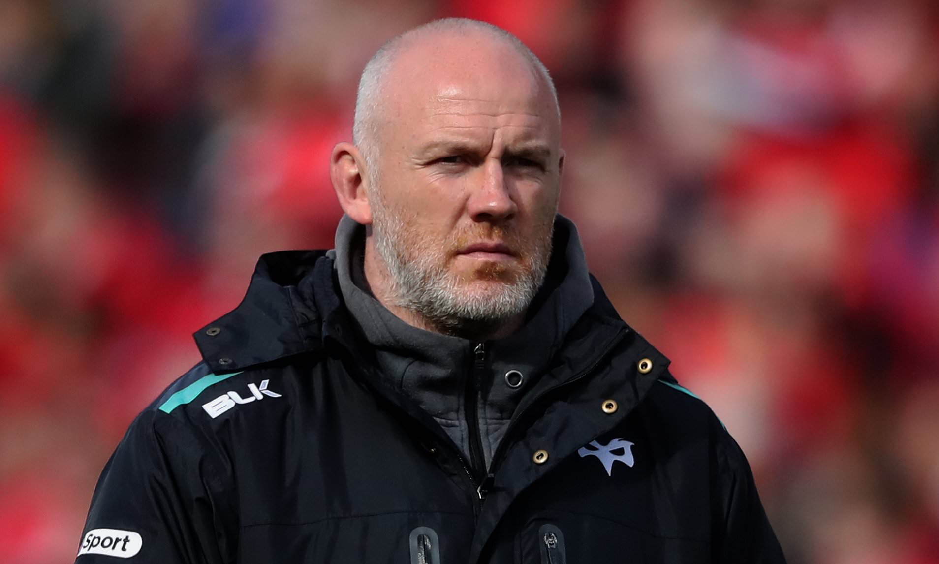 Welsh Rugby Union confirms Steve Tandy as their new men's head coach