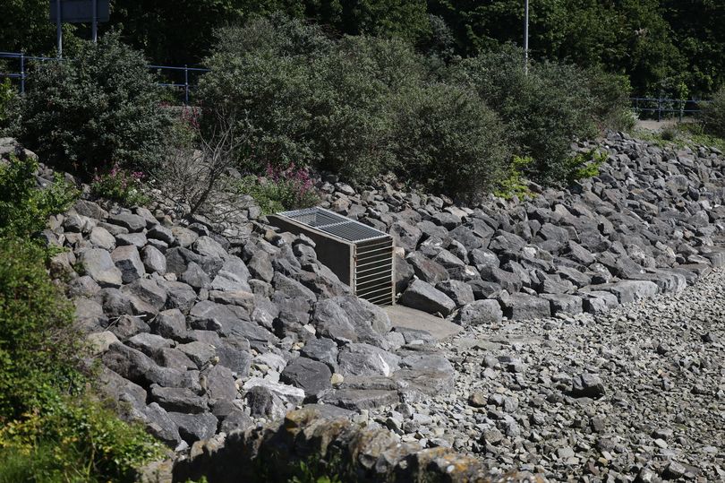 Water pollution incidents in Wales hit ten-year high