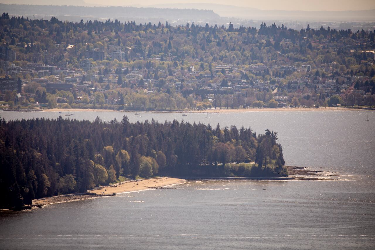 Park board gives green light to bus route, potential bike lane through ...