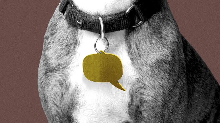 Readers sound off on off-leash dogs in Metro Detroit