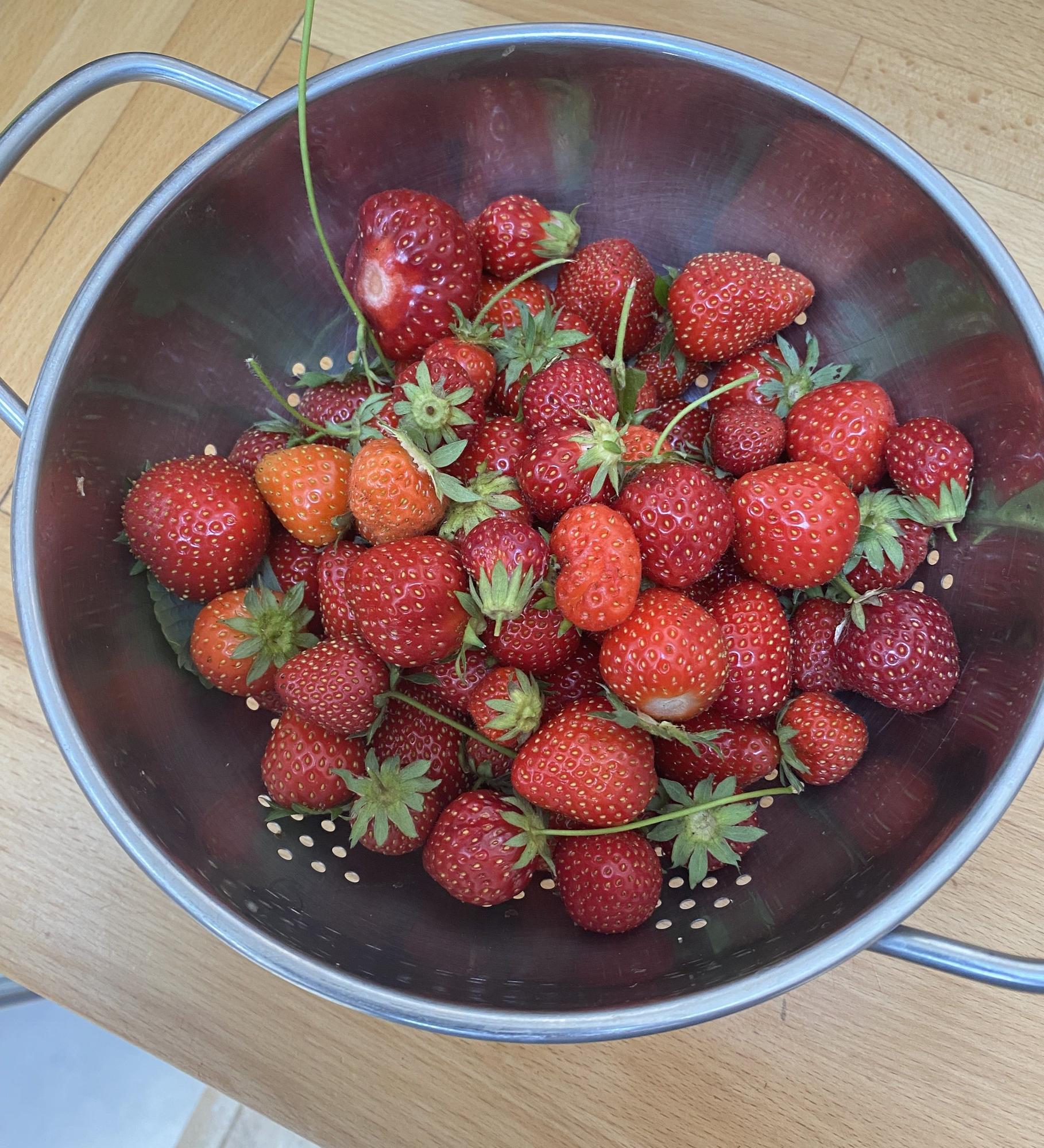 Hurstpierpoint Village News