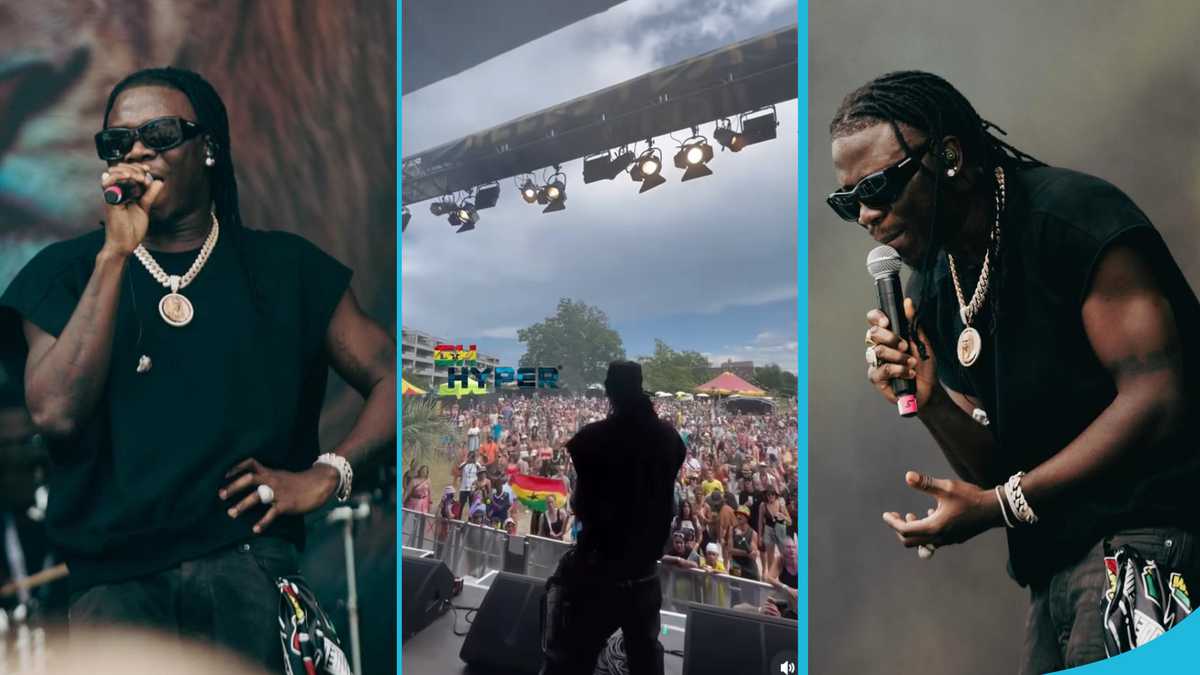 Stonebwoy gets cold reception from Swiss crowd in viral video