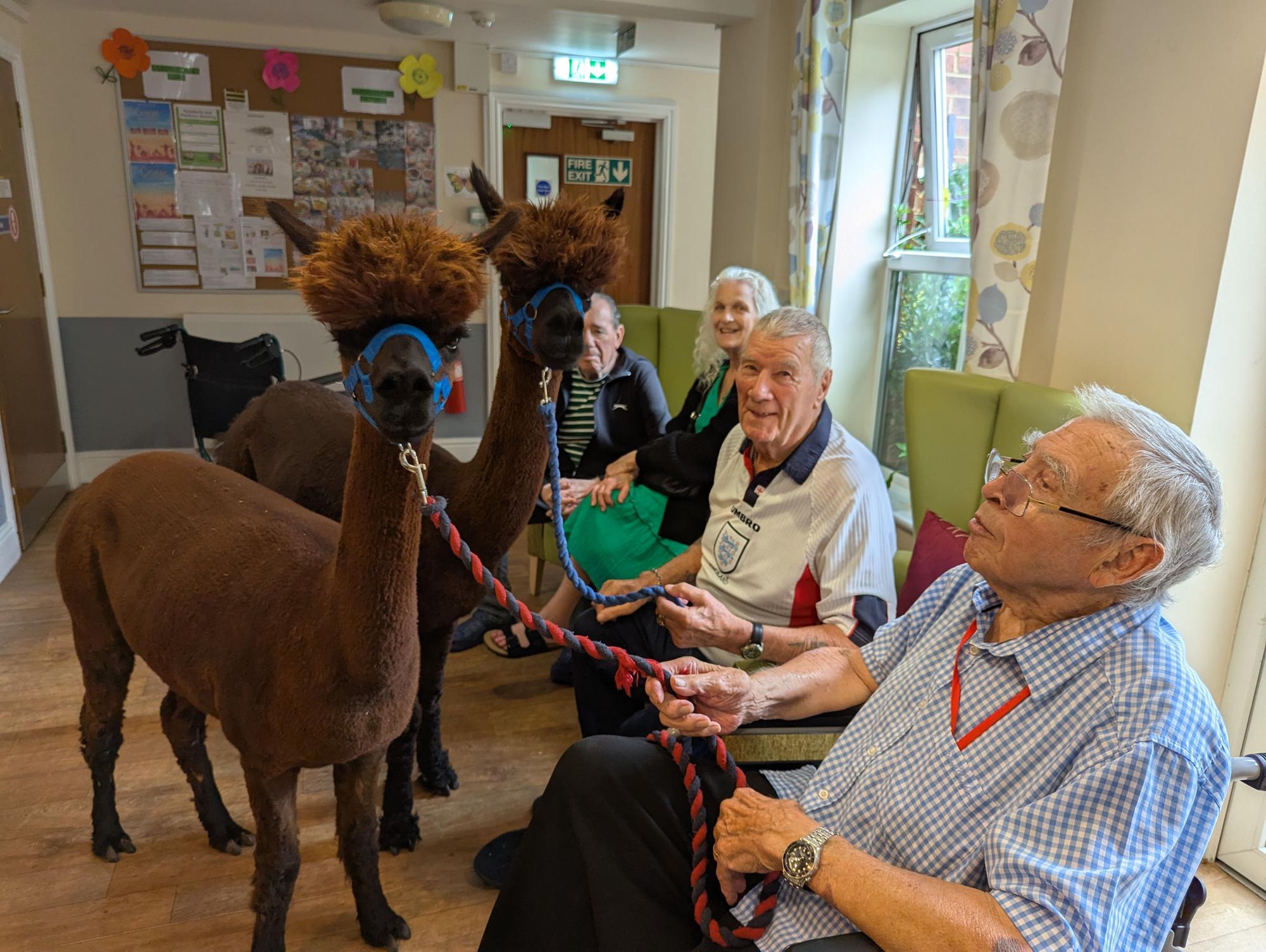 Fluffy visitors delight residents and colleagues at Grimsby nursing home