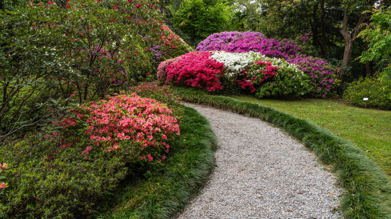 Rick Steves Believes Lake Como's Pastel Pink Villa Has One Of The Best ...