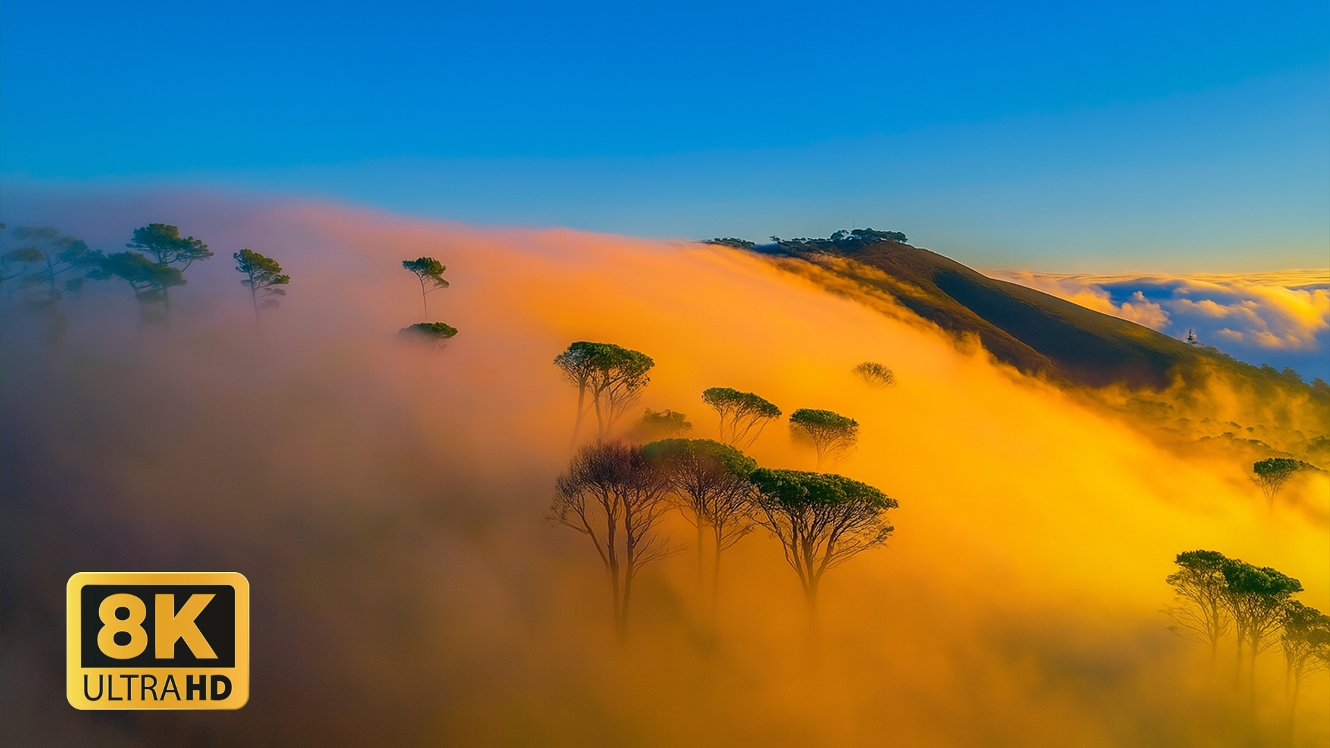 Cinematic 8K HDR Color Explosion – ULTRA HD with Dolby Vision™ & Atmos ...