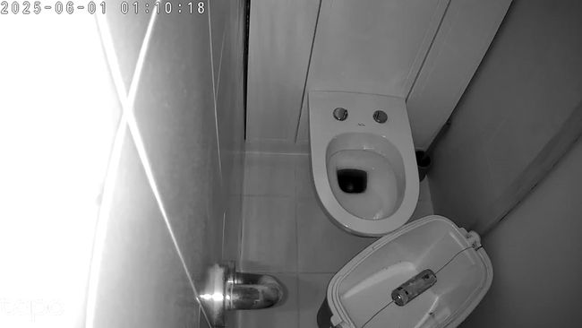 Rat Caught on Camera Crawling up Toilet and Exploring Bathroom