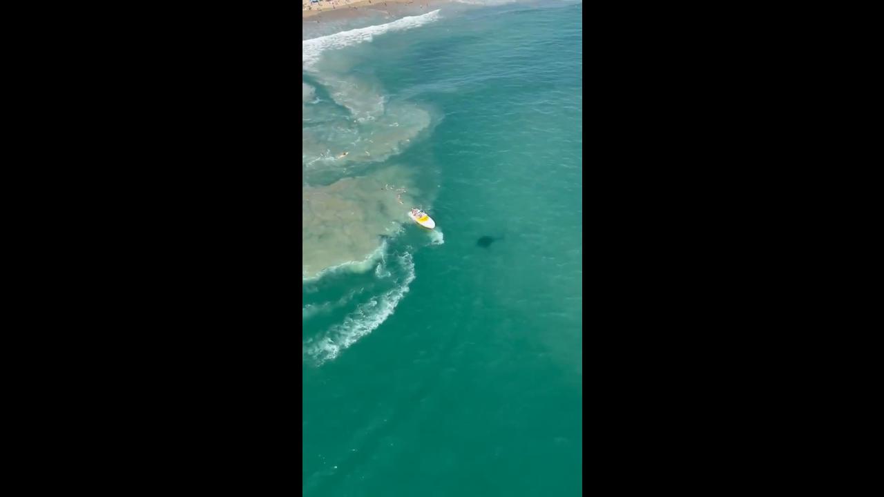 Lifeguards make 350 rescues on Newport Beach in a single day