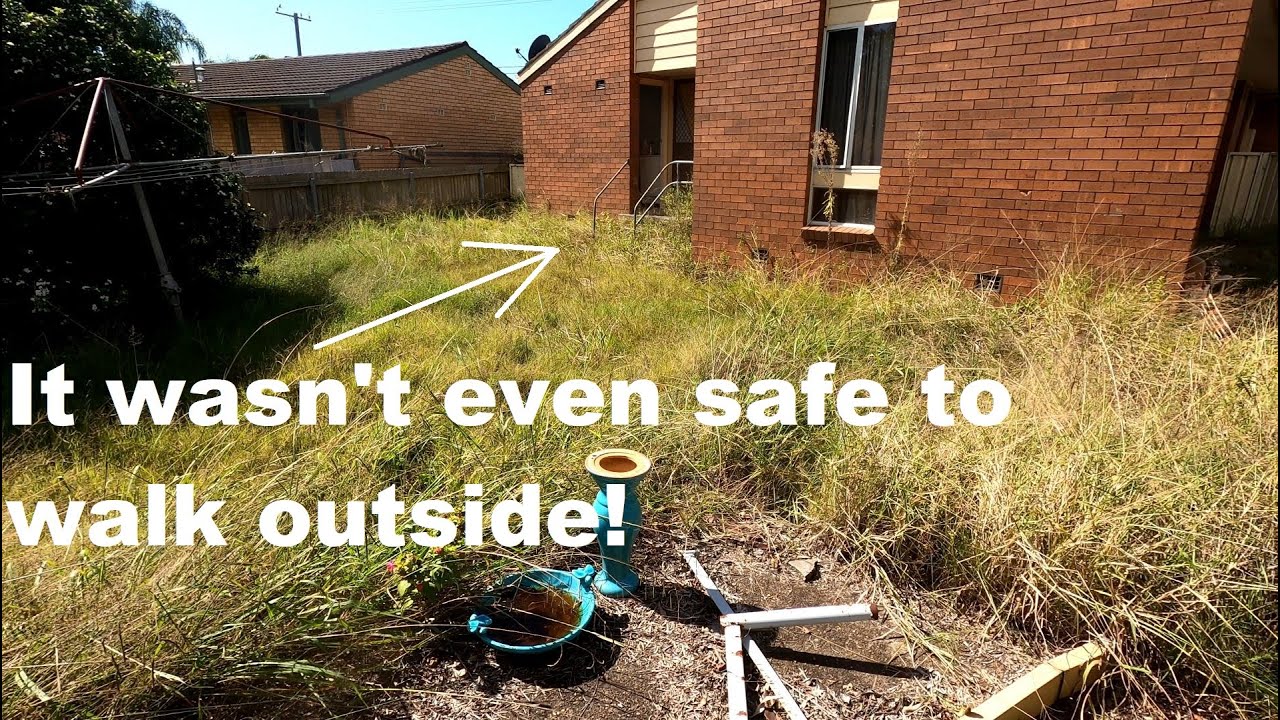 Final Chapter: 8-Year Neglected Yard Brought Back to Life